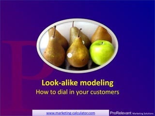 Facebook and Look-Alike Modeling: A Short Primer | PPT