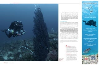 Look Before You Leap | PDF