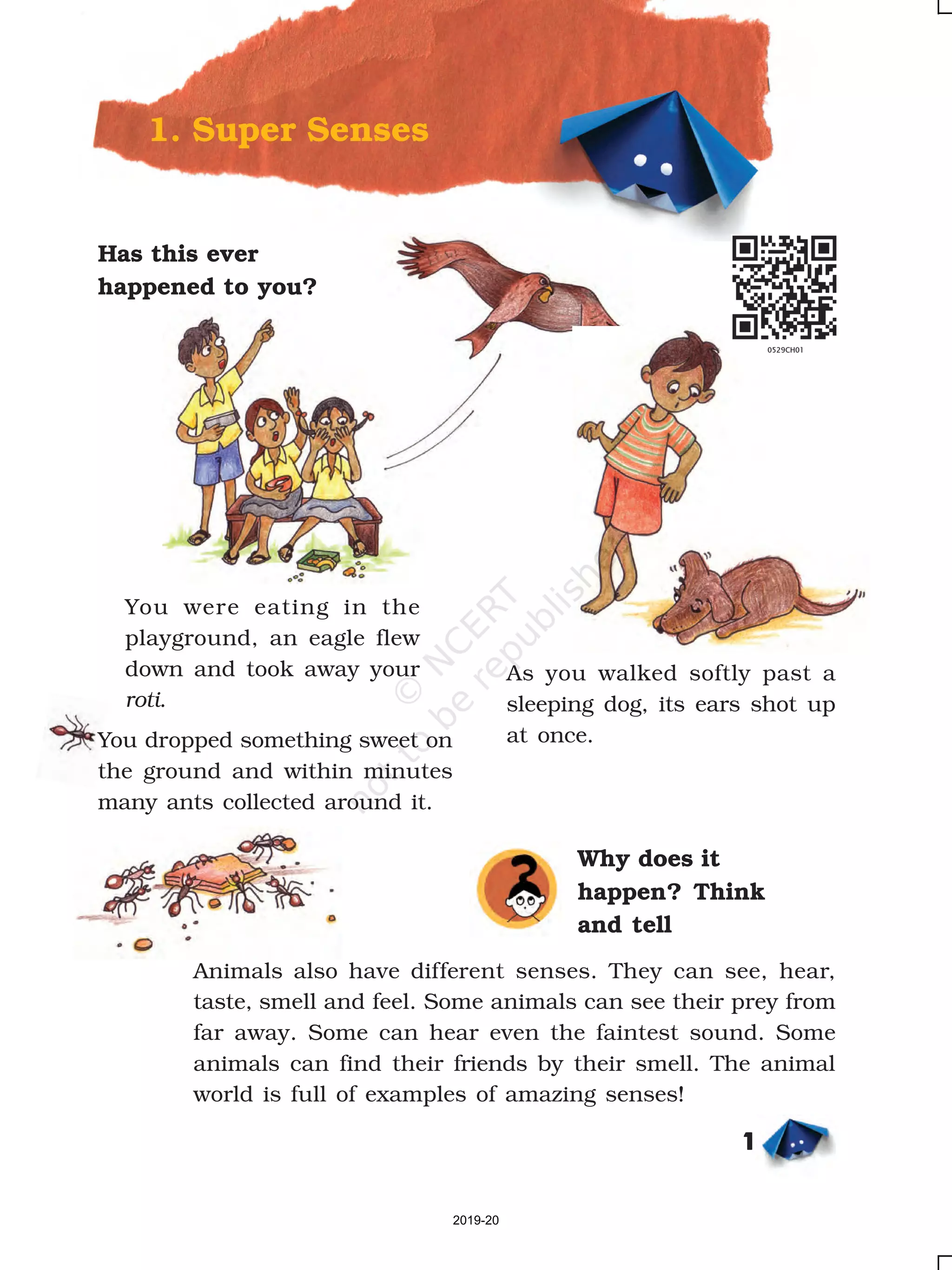 E.V.S NCERT Class 5 | PDF