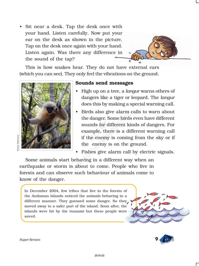 E.V.S NCERT Class 5 | PDF | Agriculture | Industries