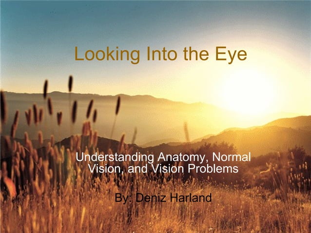 Looking Into The Eye | PPT
