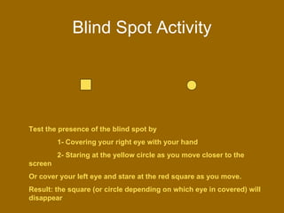 Looking Into The Eye | PPT