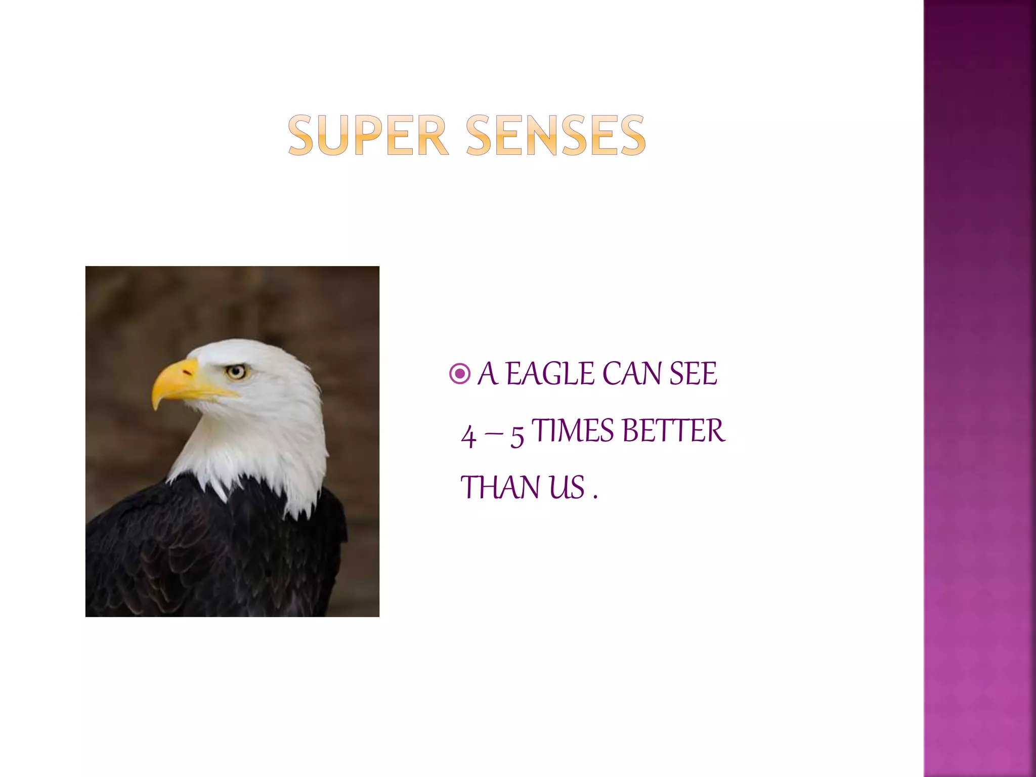 Looking around 5 th class-ncert | PPTX