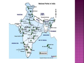 Looking around 5 th class-ncert | PPTX