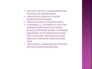 Looking around 5 th class-ncert | PPTX