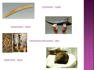 Looking around 5 th class-ncert | PPTX