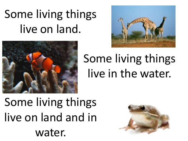 Features of Living Things