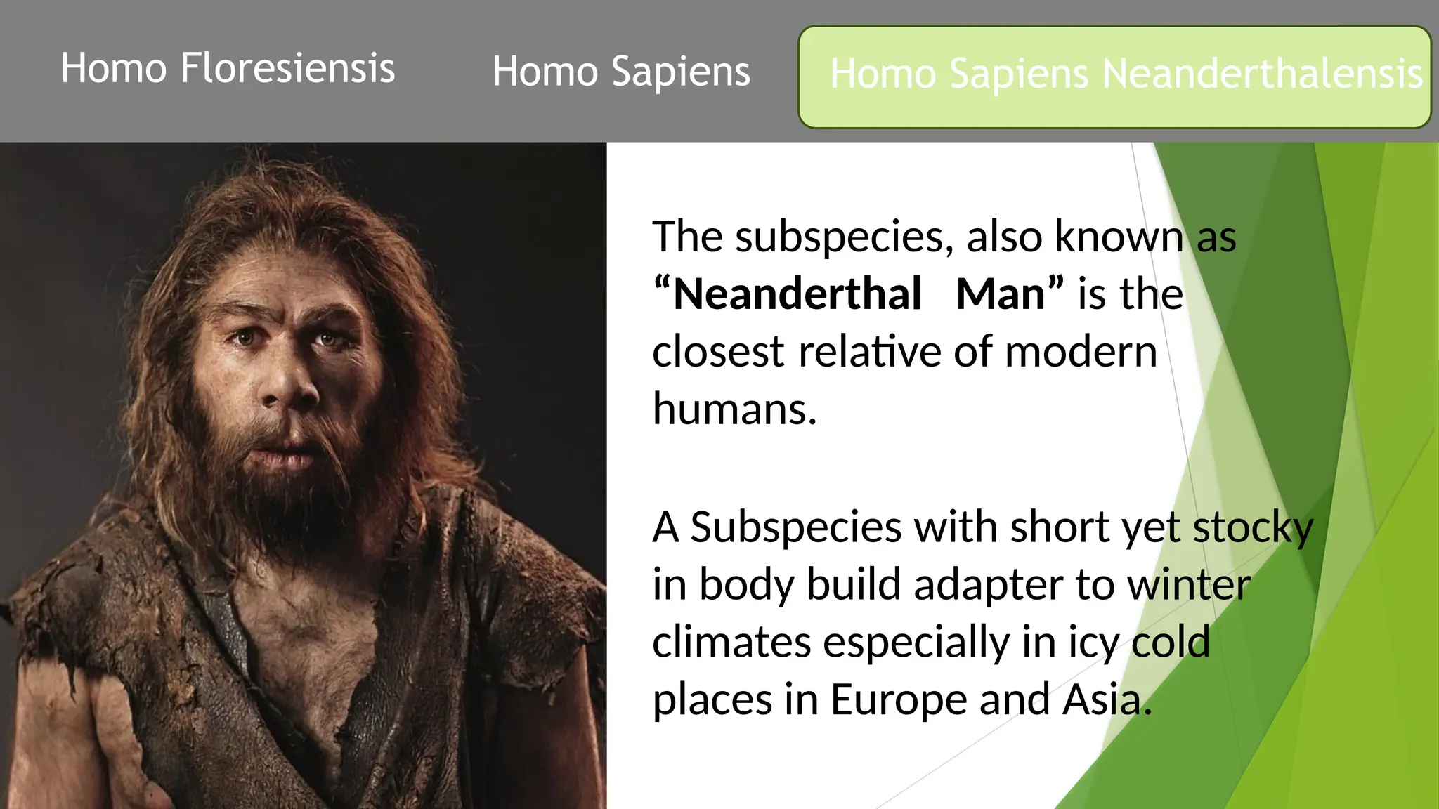 Looking Back at Human Biocultural and Social Evolution.pptx