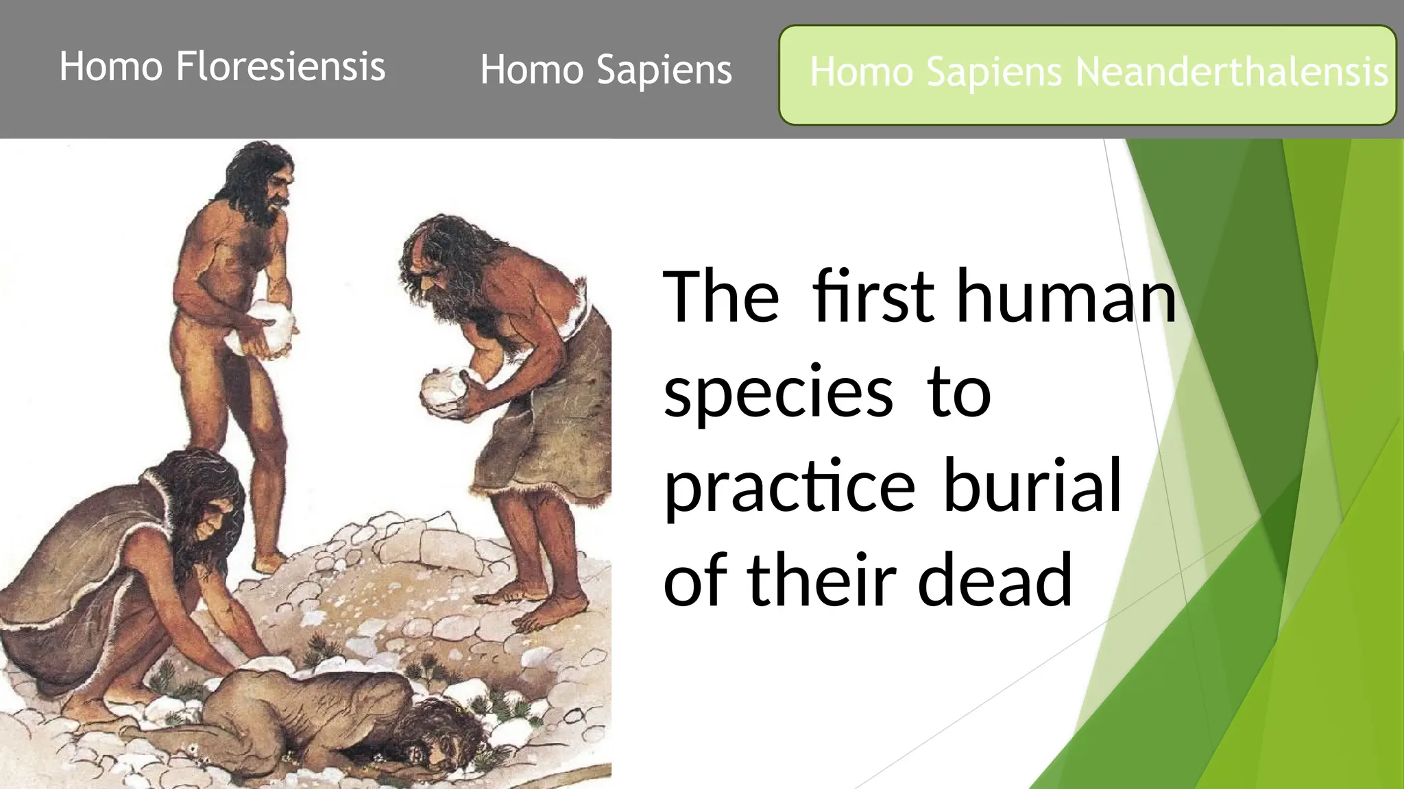 Looking Back at Human Biocultural and Social Evolution.pptx