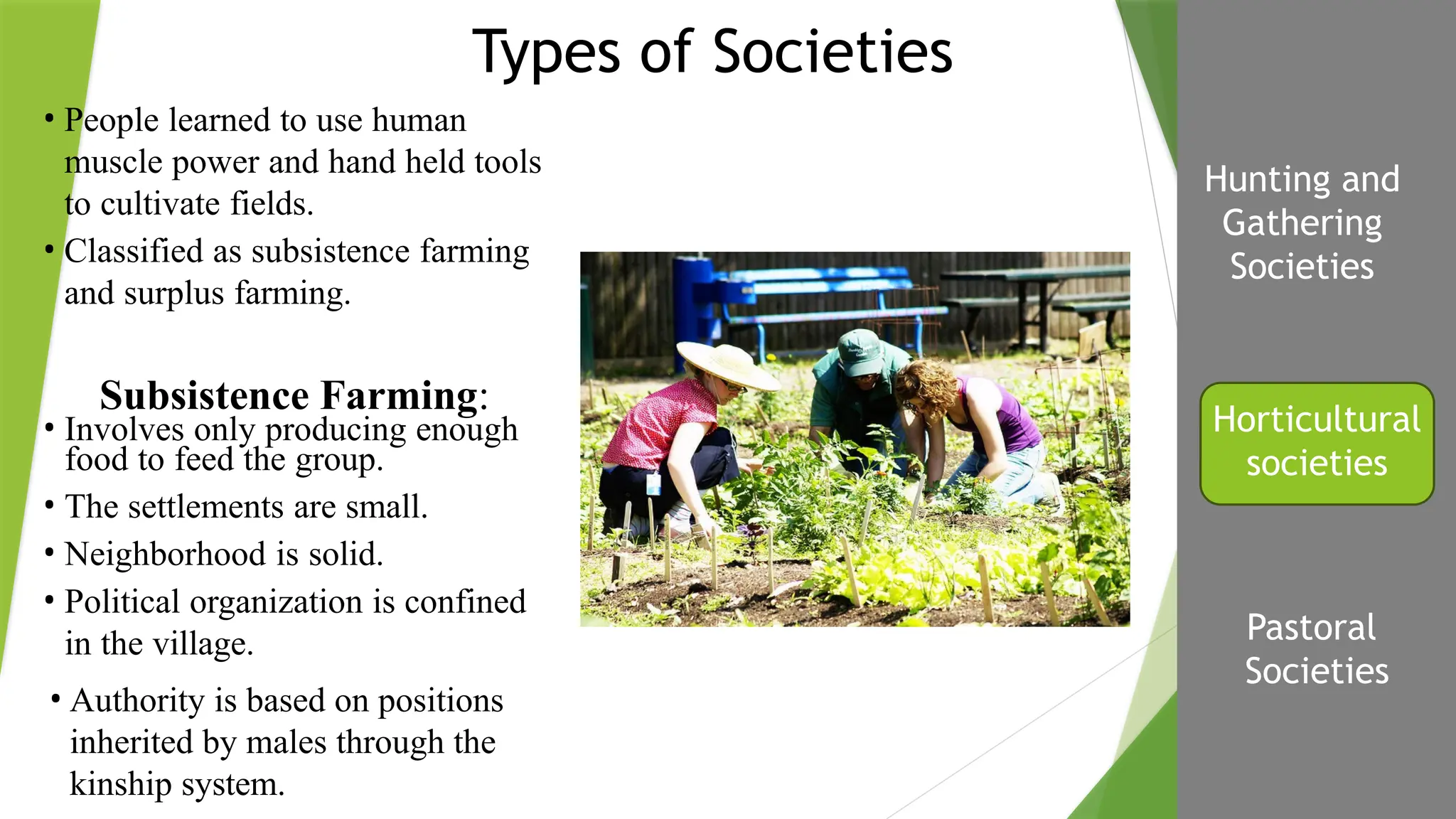 Looking Back at Human Biocultural and Social Evolution.pptx