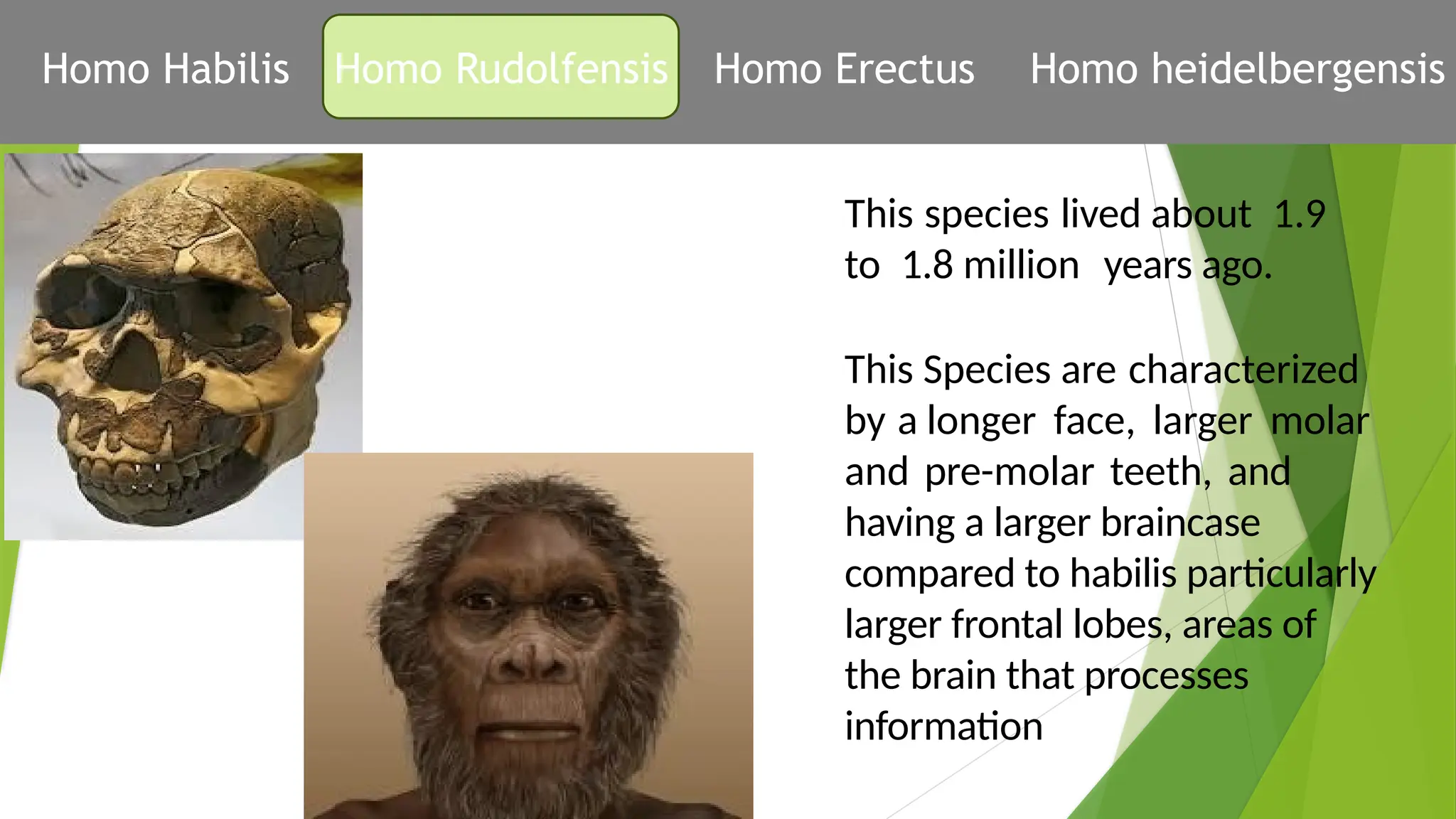 Looking Back at Human Biocultural and Social Evolution.pptx