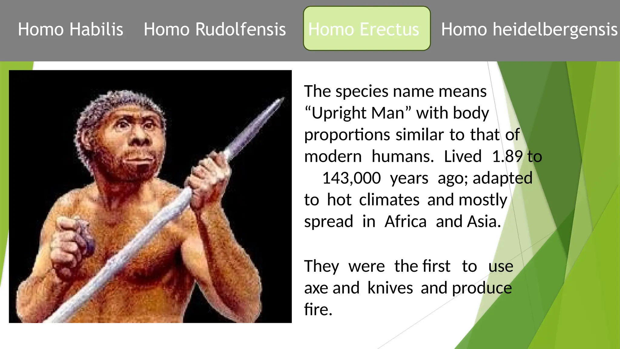 Looking Back at Human Biocultural and Social Evolution.pptx