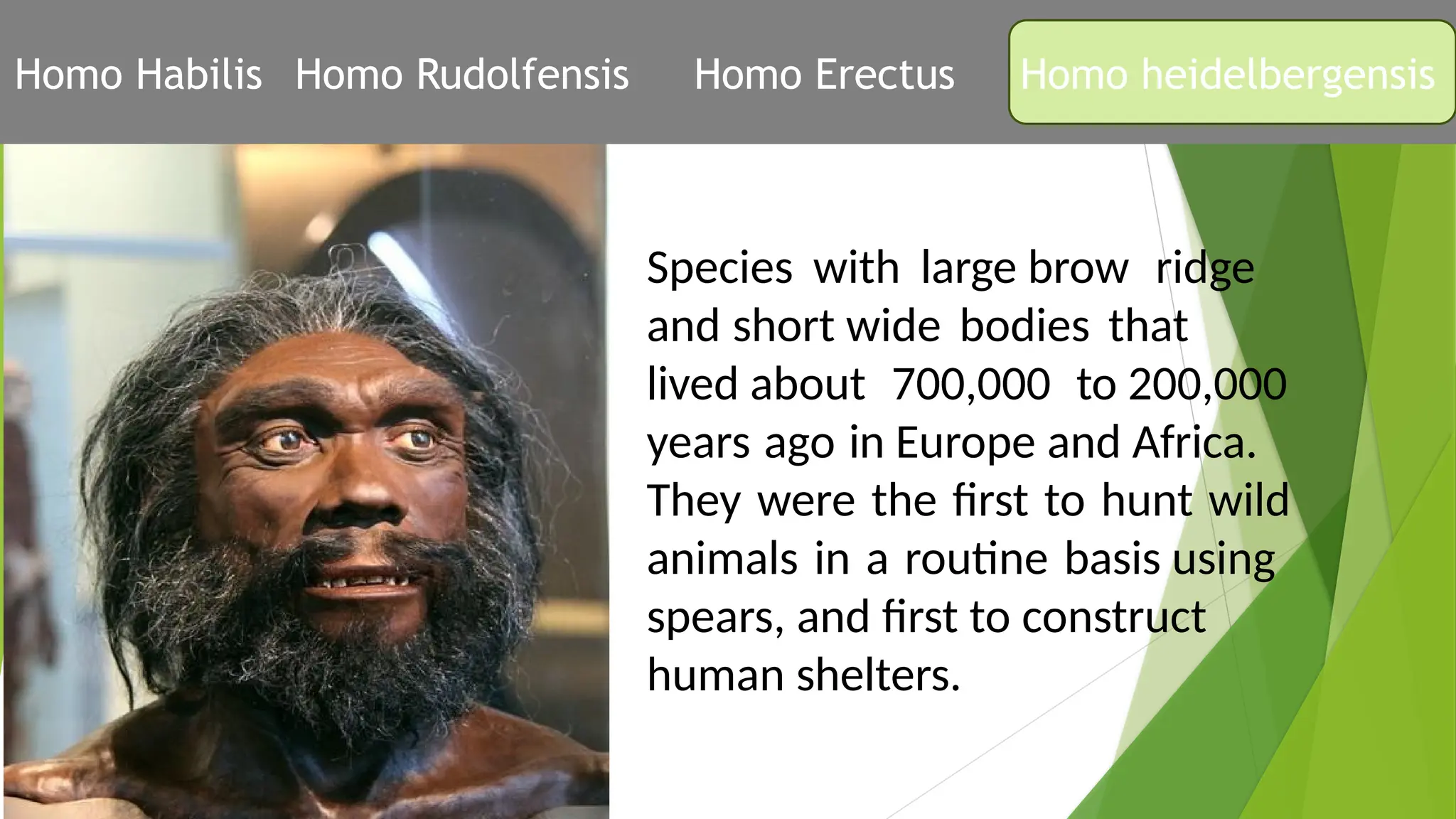 Looking Back at Human Biocultural and Social Evolution.pptx