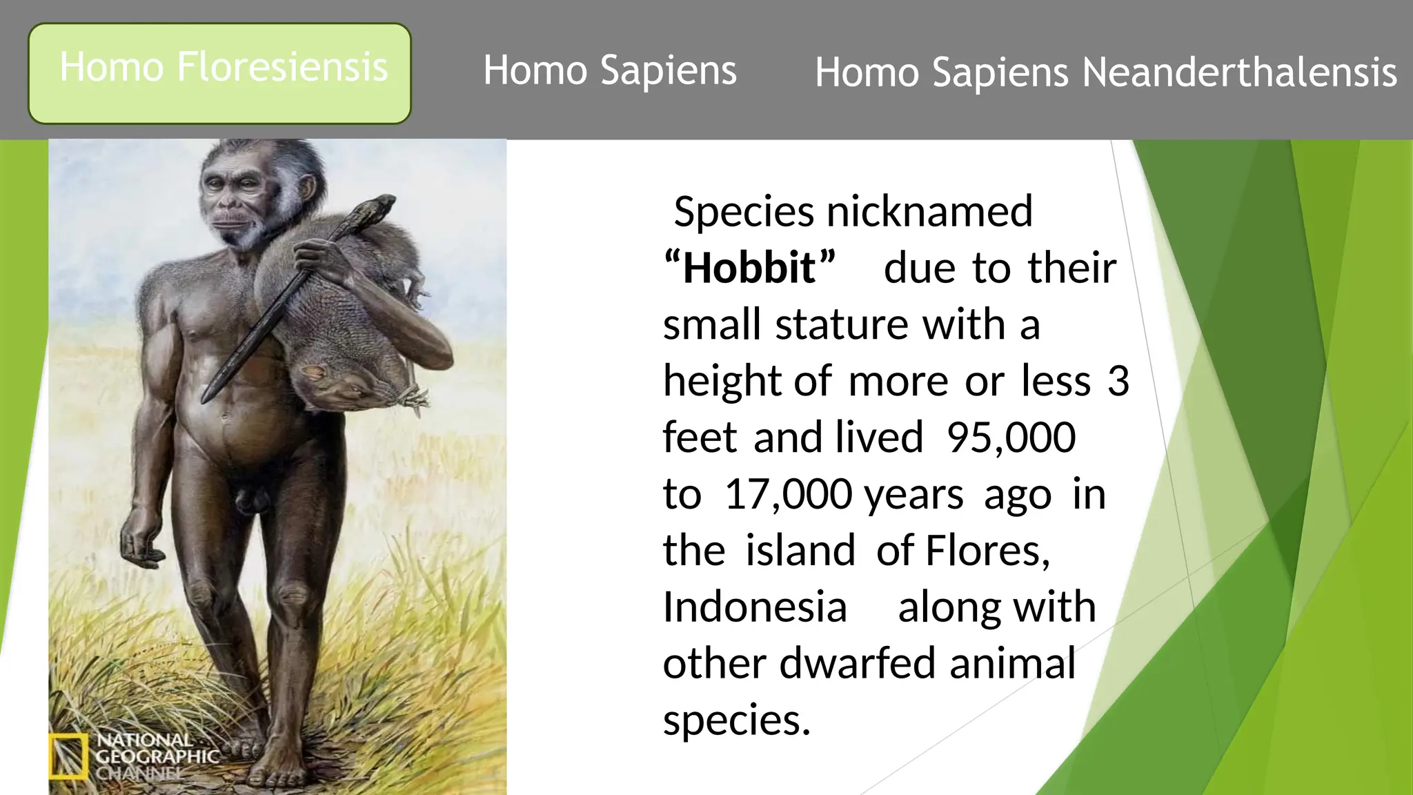 Looking Back at Human Biocultural and Social Evolution.pptx