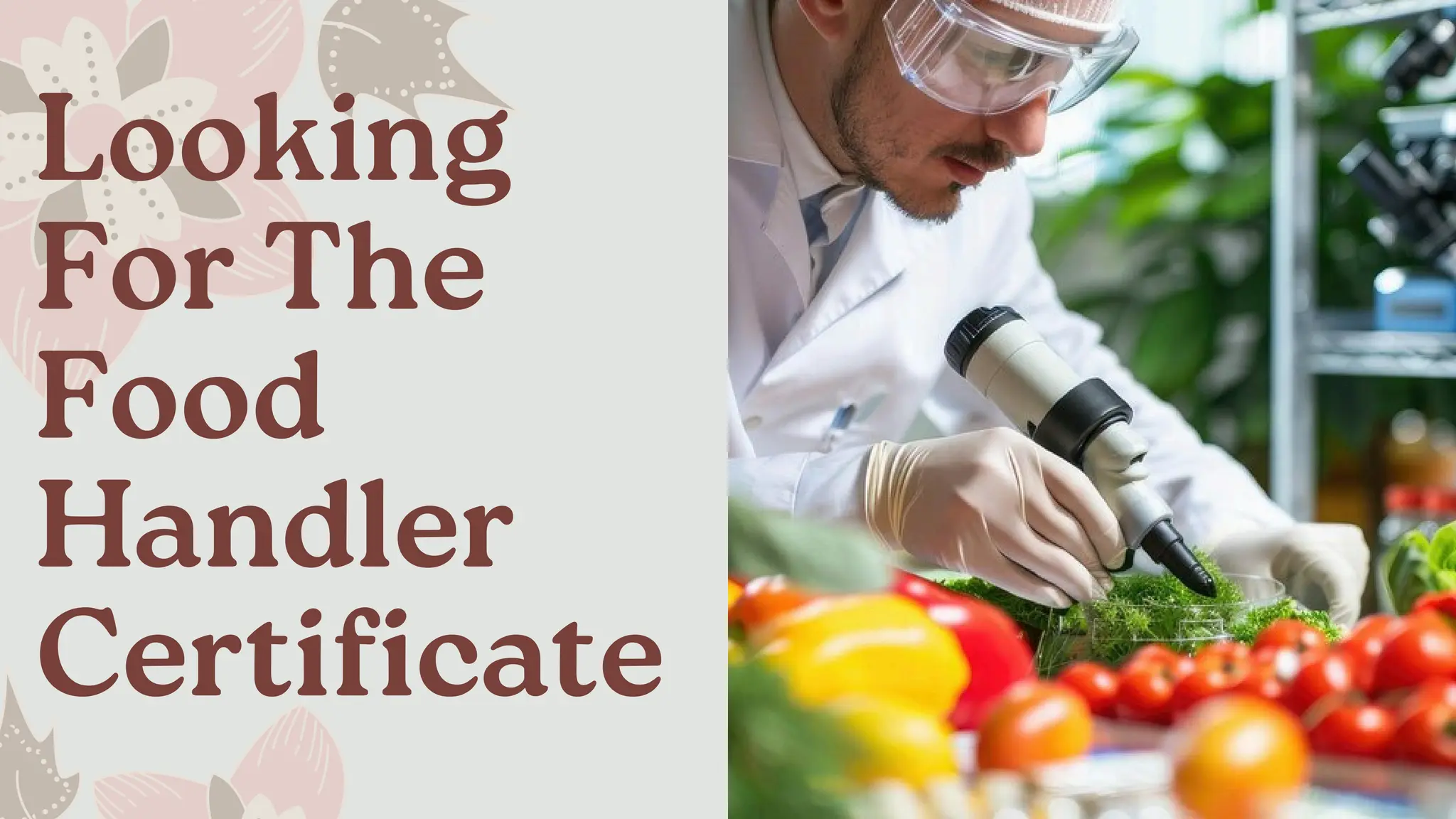 Looking For The Food Handler Certificate.pdf
