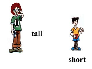LOOKS LIKE.ppt