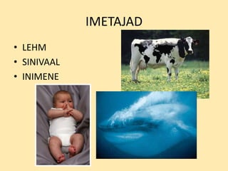 Loomad.2 klass | PPTX