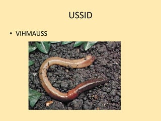 Loomad.2 klass | PPTX