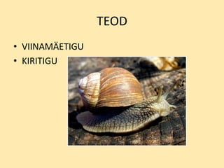 Loomad.2 klass | PPTX