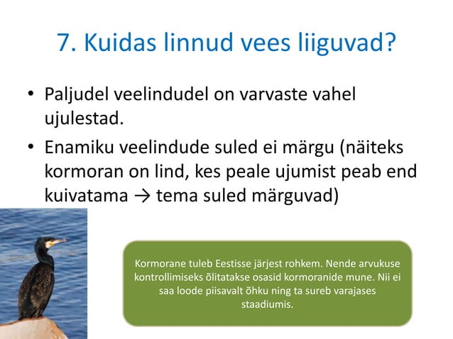 Loomade kohastumused eluks vees | PPTX