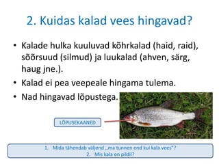 Loomade kohastumused eluks vees | PPTX