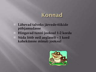 Loomad talvel[1] | PPT
