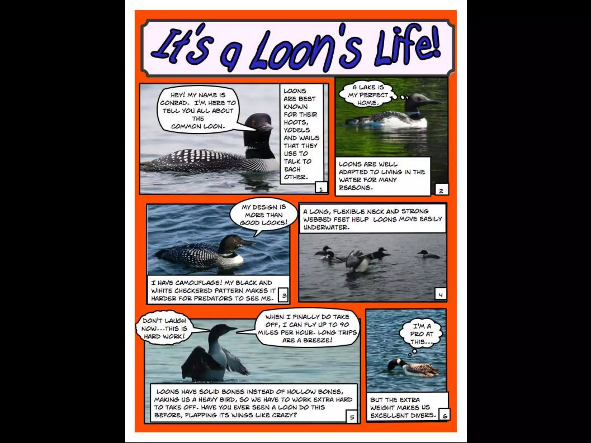 Loon Comic | PPTX