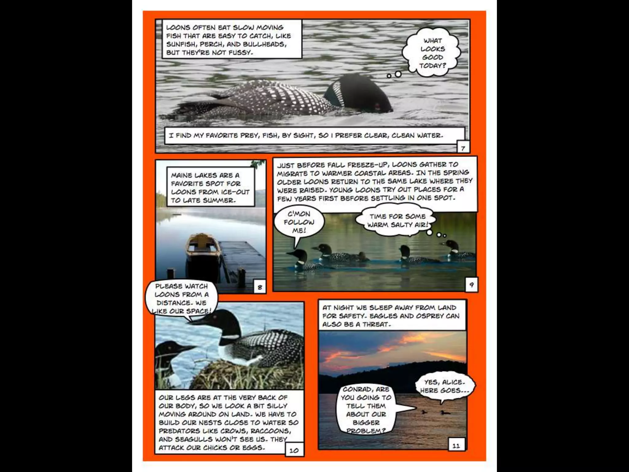 Loon Comic | PPTX