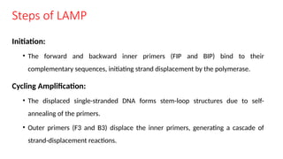 Loop-mediated Isothermal Amplification.pptx