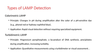 Loop-mediated Isothermal Amplification.pptx