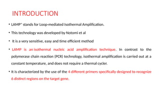 Loop-mediated Isothermal Amplification.pptx
