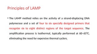 Loop-mediated Isothermal Amplification.pptx