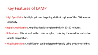 Loop-mediated Isothermal Amplification.pptx