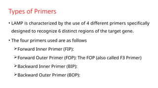 Loop-mediated Isothermal Amplification.pptx