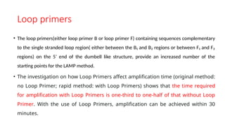 Loop-mediated Isothermal Amplification.pptx