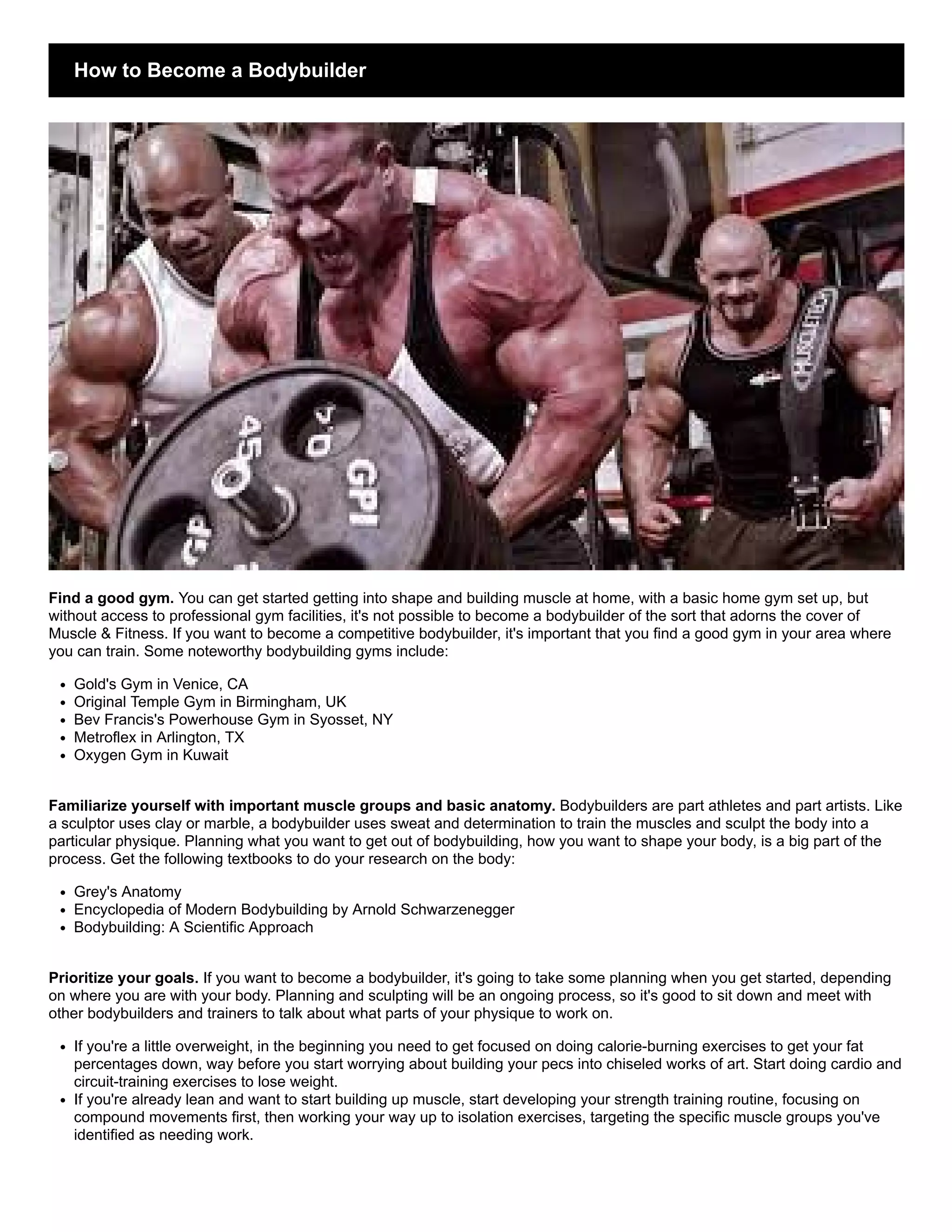Bodybuilding 101 | PDF