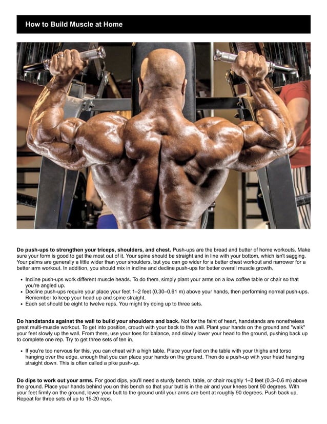 Bodybuilding 101 | PDF