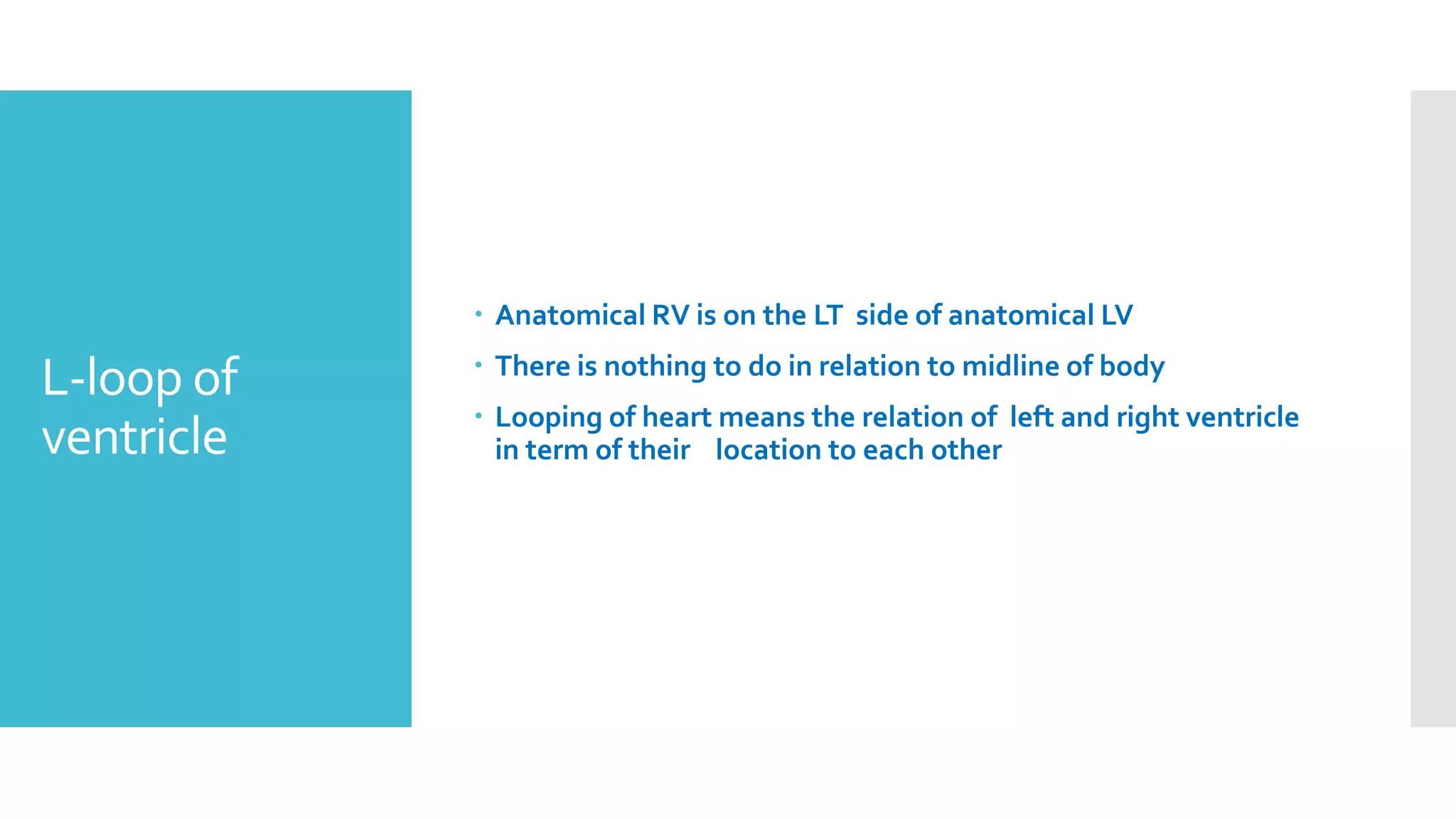 Looping of heart | PPTX