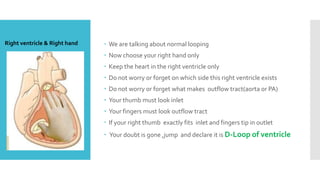 Looping of heart | PPTX