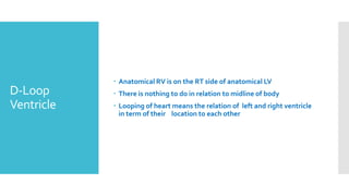 Looping of heart | PPTX