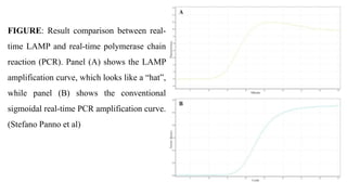 Characteristics of Loop Mediated Isothermal Amplification Technique | PPT