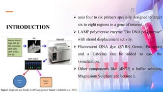 Characteristics of Loop Mediated Isothermal Amplification Technique | PPT