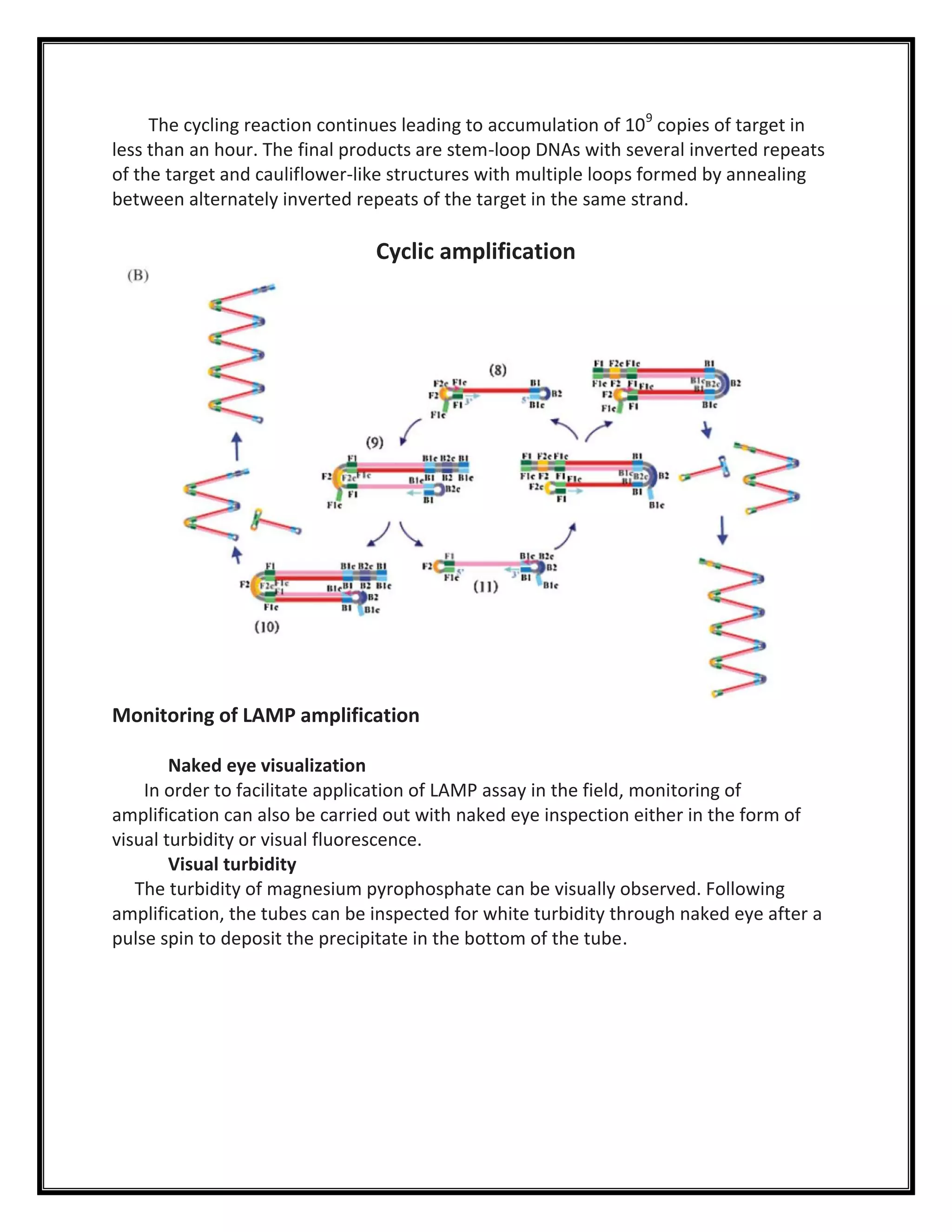 Loop mediated isothermal amplification by dr.pavulraj.s | PDF