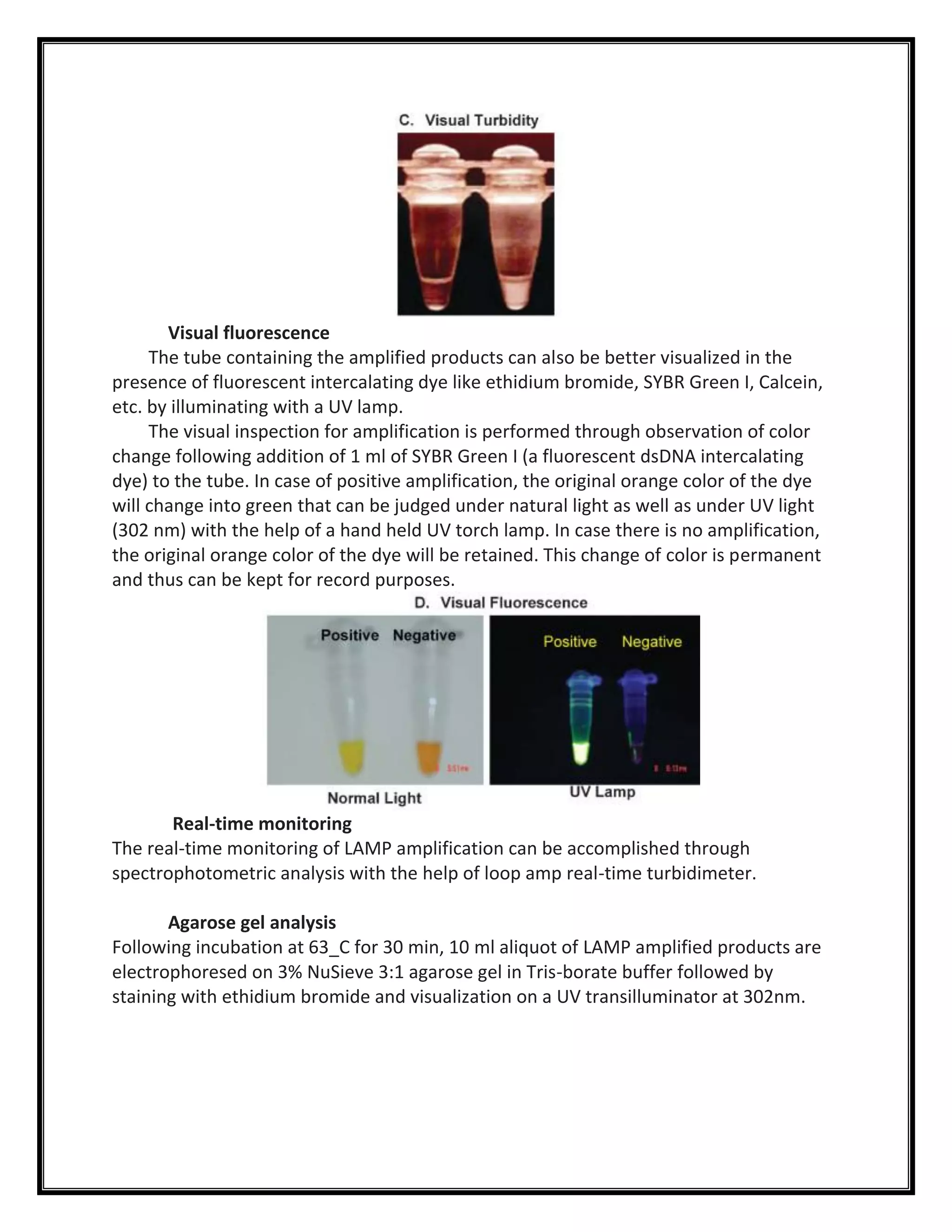 Loop mediated isothermal amplification by dr.pavulraj.s | PDF