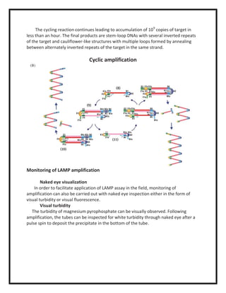 Loop mediated isothermal amplification by dr.pavulraj.s | PDF