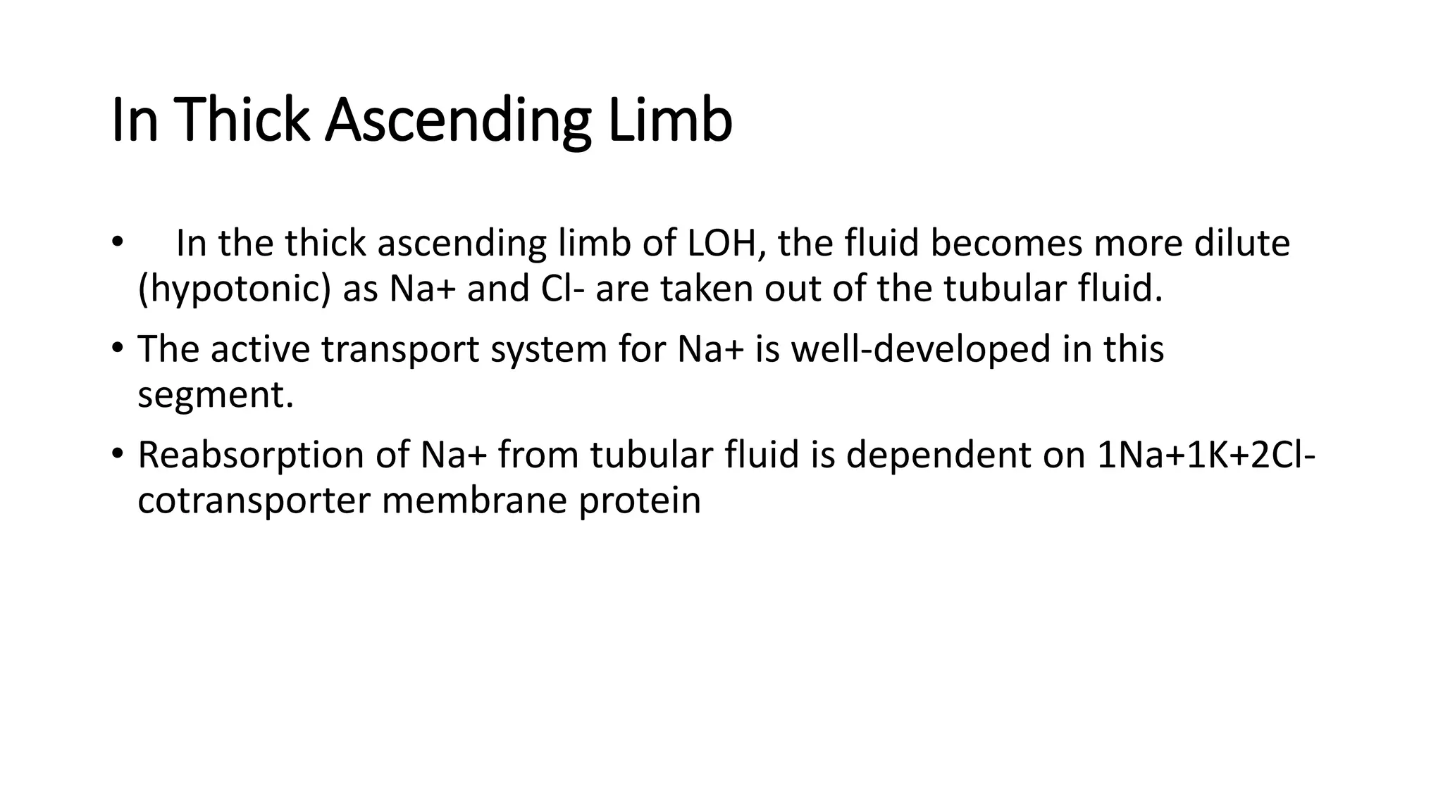 Loop of henle, a part of nehron of kidney | PPT