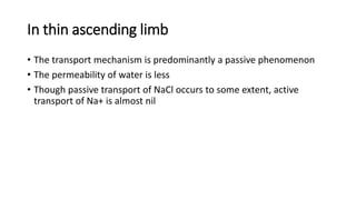 Loop of henle, a part of nehron of kidney | PPTX