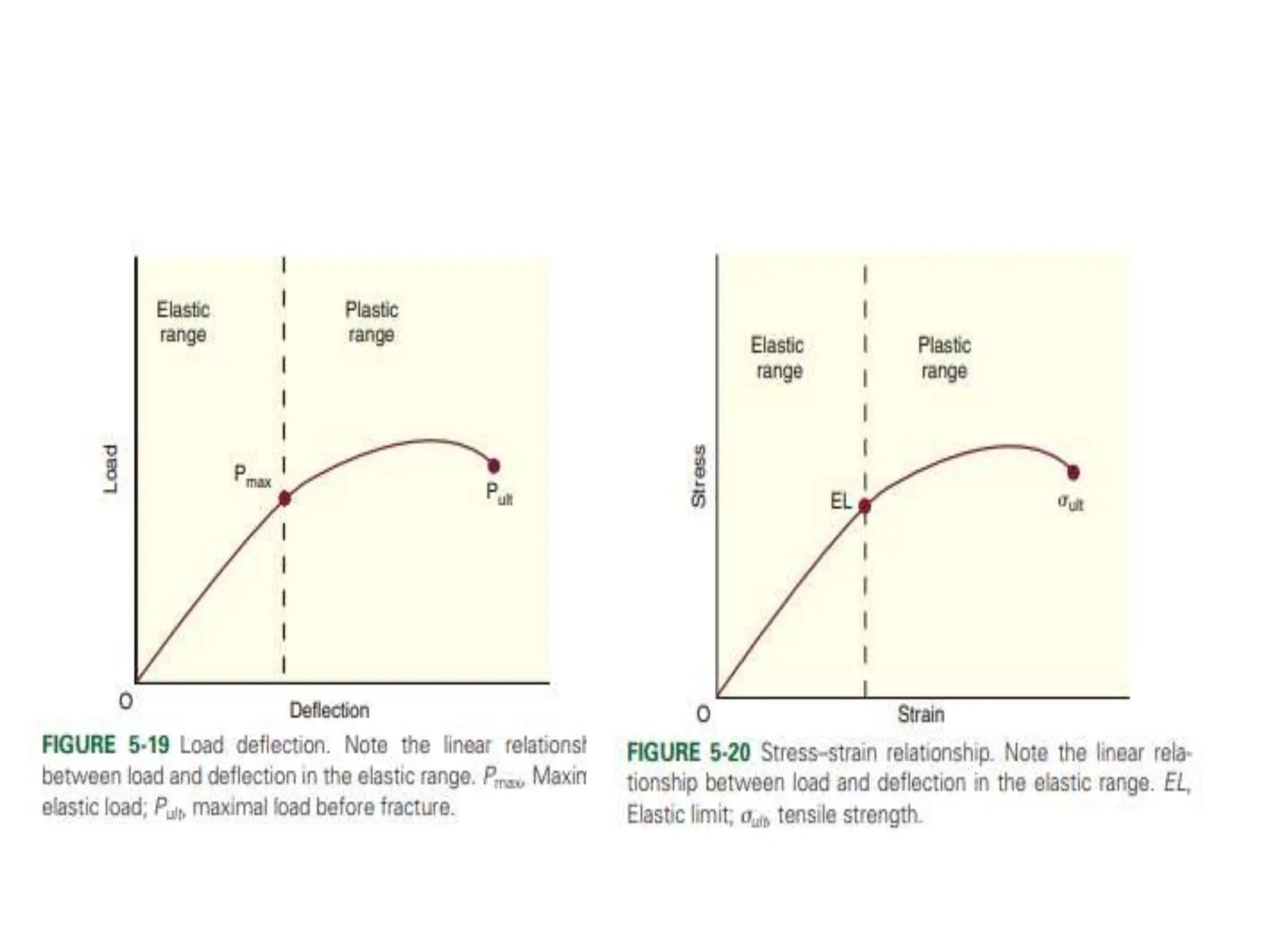 Loops In Orthodontics T Loop Bull Loop Vertical Loop Mushroom Loop Stop Loop Pptx Dental