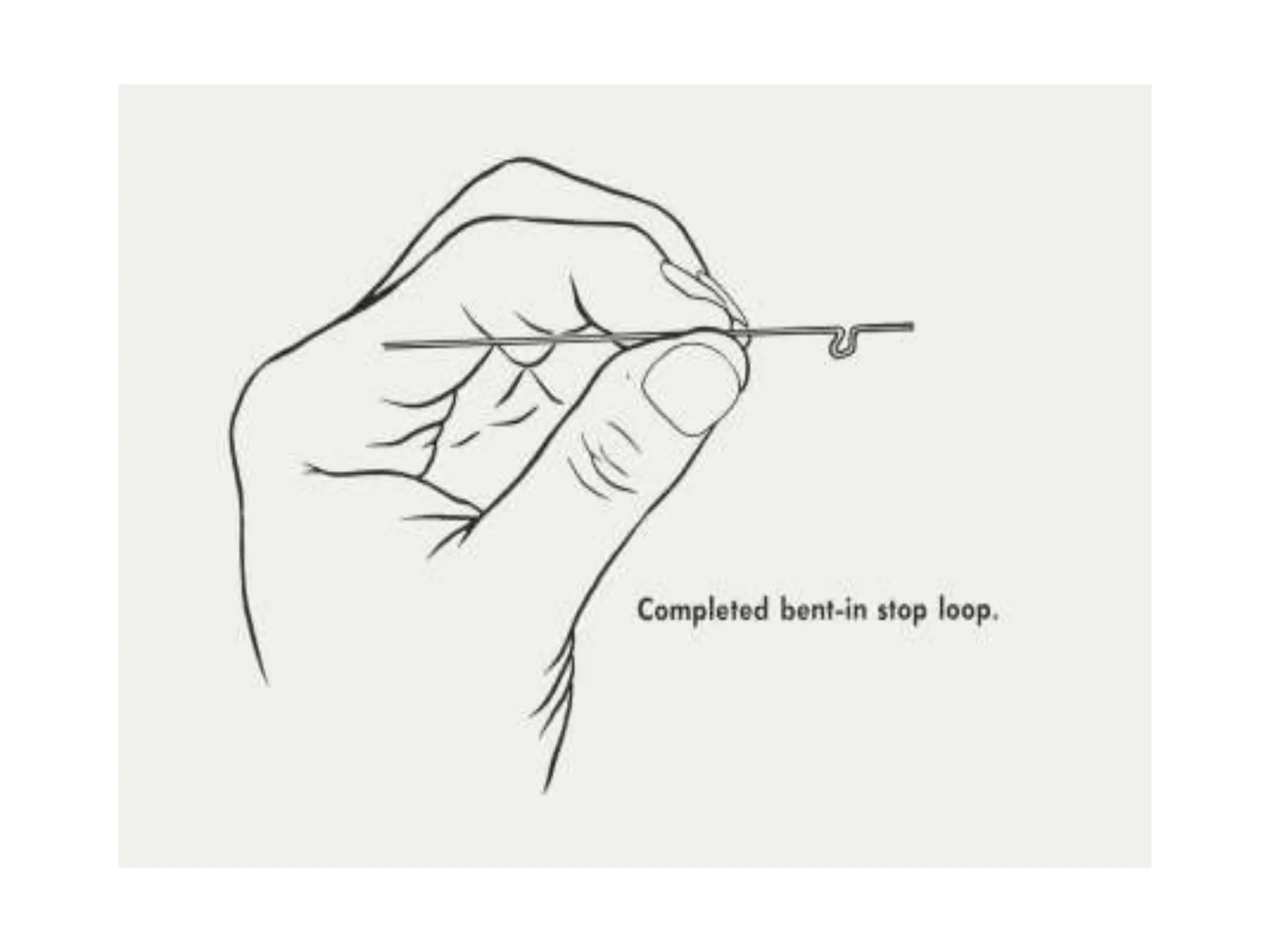 Loops In Orthodontics T Loop Bull Loop Vertical Loop Mushroom Loop Stop Loop Pptx Dental