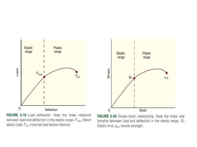 LOOPS in orthodontics t loop bull loop vertical loop mushroom loop stop ...